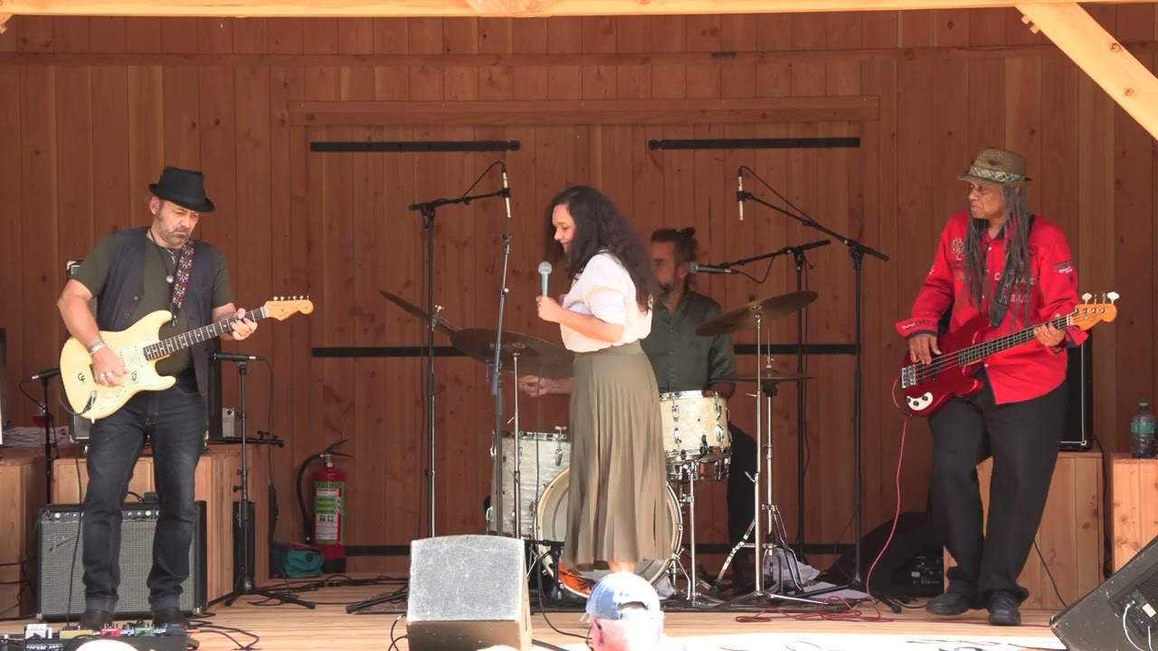 Meena Cryle & The Chris Filmore Band, You Created A Monster - YouTube