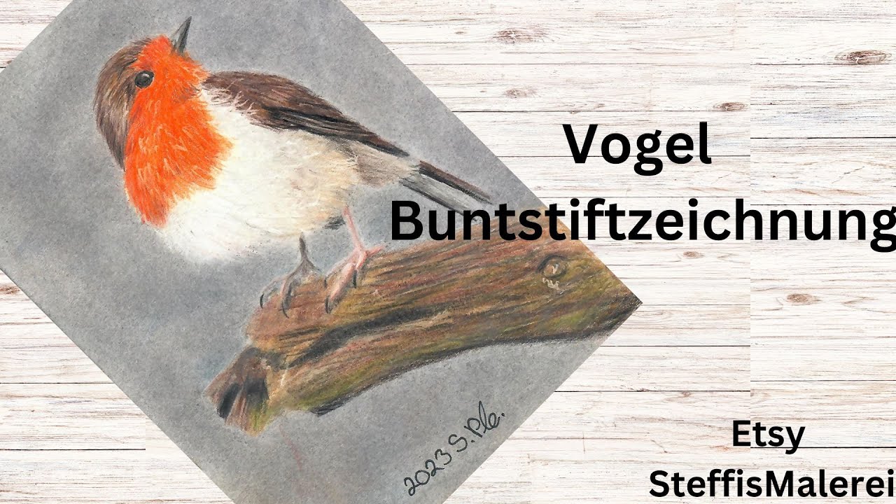 Rotkehlchen mit Buntstiften im Zeitraffer gezeichnet - YouTube