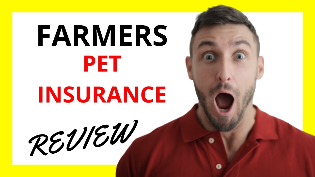🔥 Farmers Pet Insurance Review: Pros and Cons - YouTube