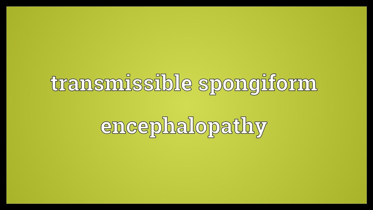 Transmissible spongiform encephalopathy Meaning - YouTube