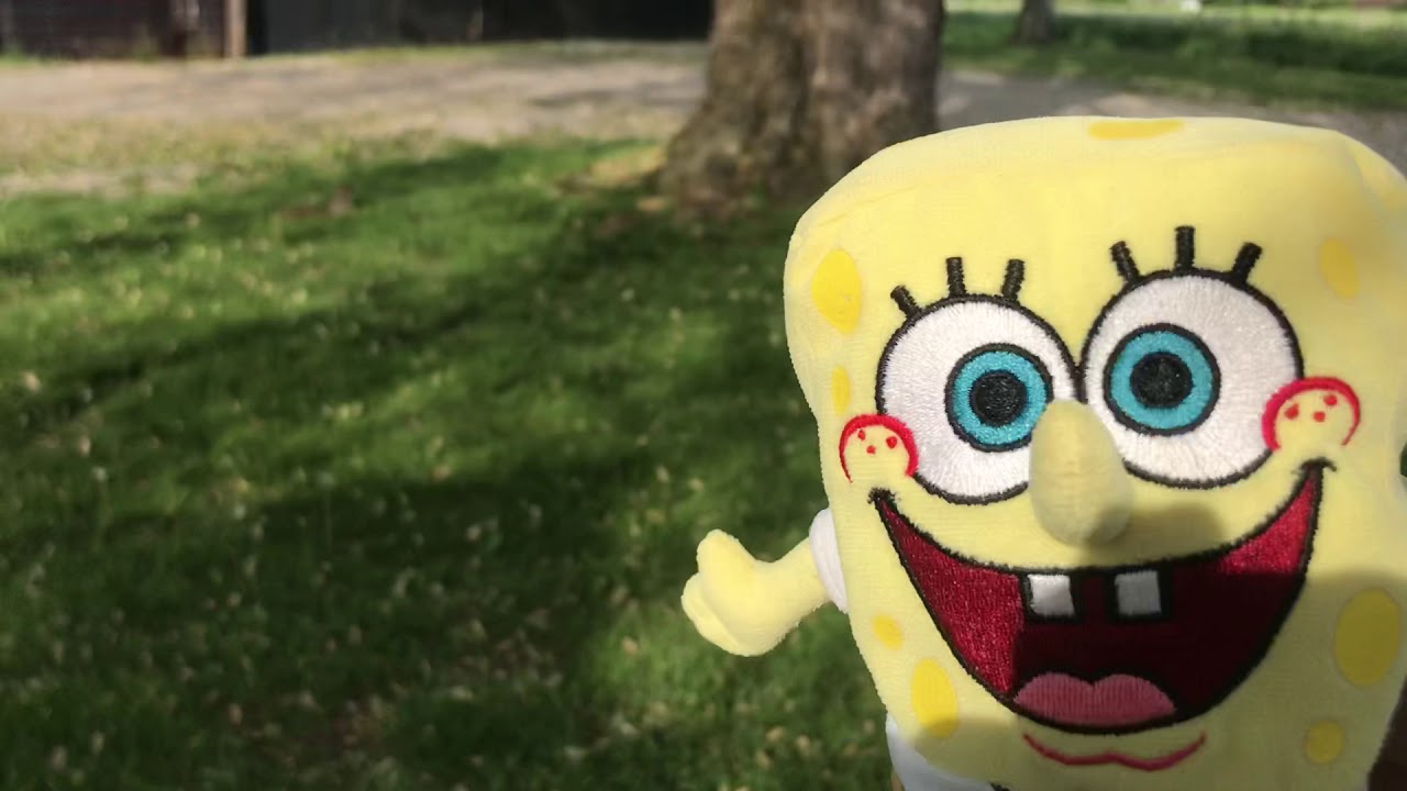 Real life Sandy Cheeks - YouTube