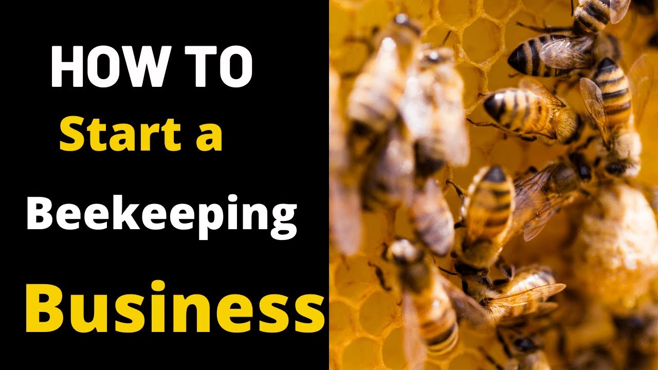 How to Start a Beekeeping Business and Get Rich - YouTube