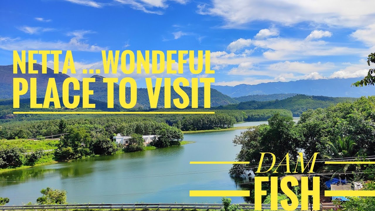NETTA || WONDERFUL PLACE TO VISIT ||| Kanyakumari || DAM FISH - YouTube