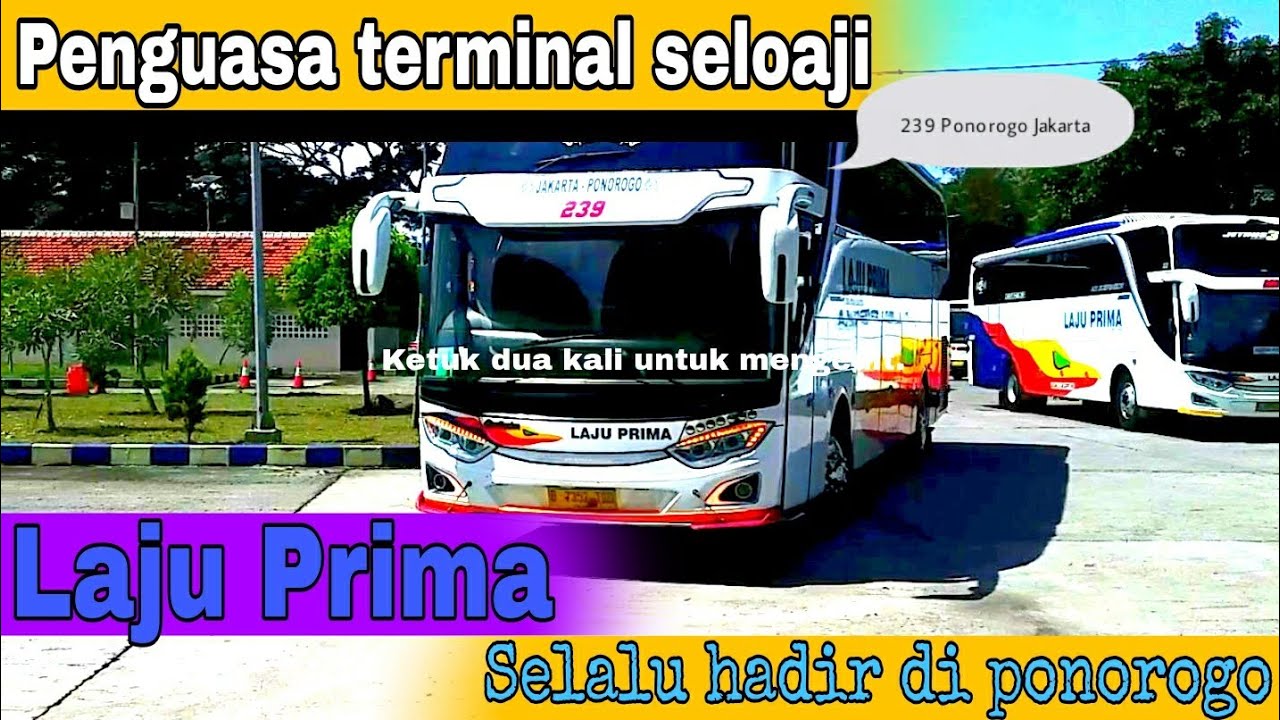 MELIHAT PEMBERANGKATAN BUS PENGUASA DI TERMINAL SELOAJI PONOROGO SIANG ...