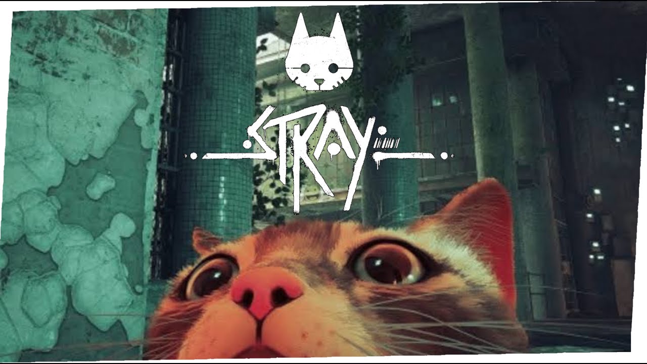 We got Betrayed for Money - Stray Ending Live #5 - YouTube