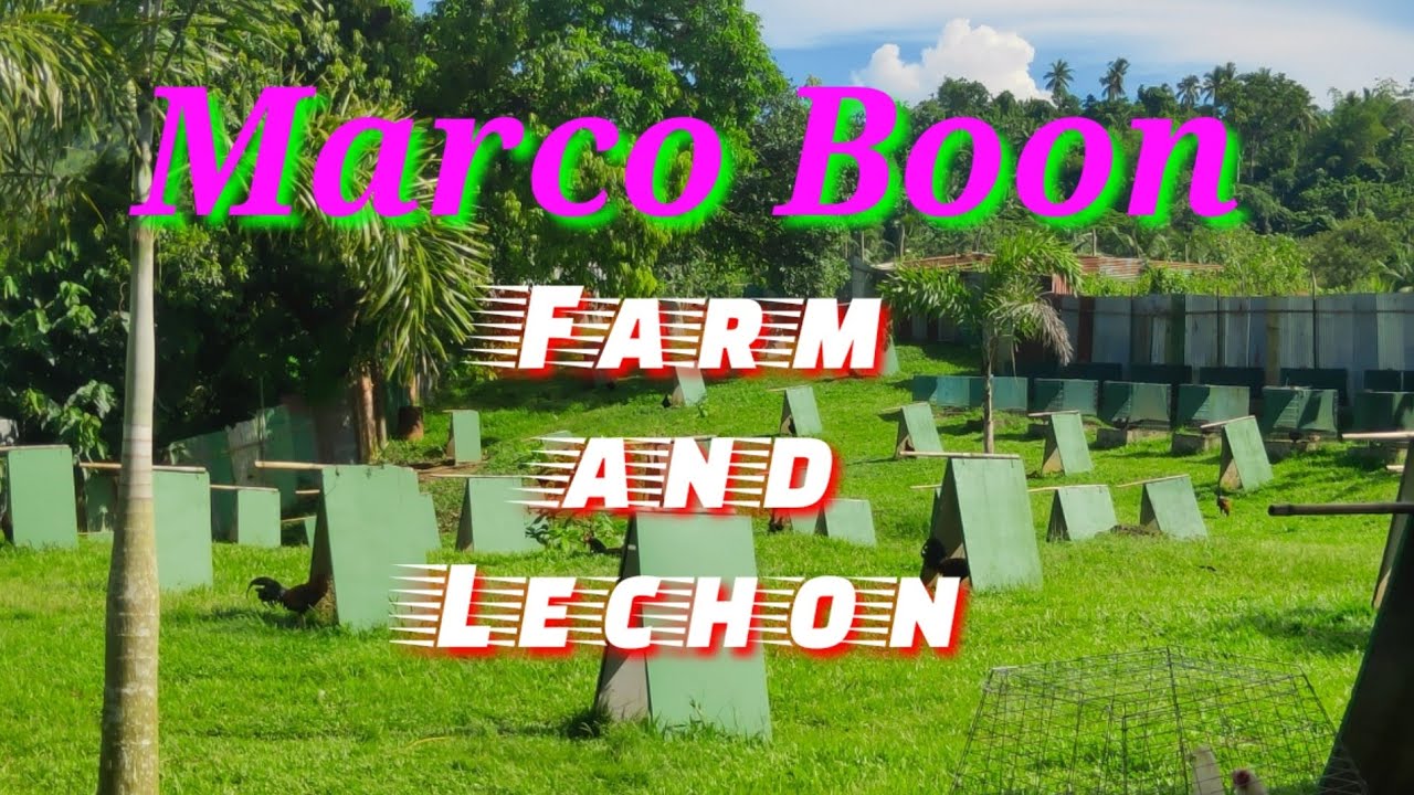 EP268: Marco Boon Farm and Lechon - YouTube