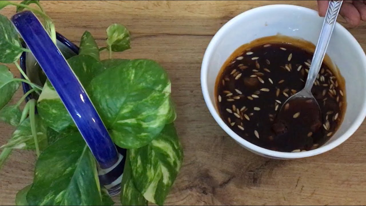 IMLI CHUTNEY | KHATTI MEETHI TAMARIND CHUTNEY - YouTube