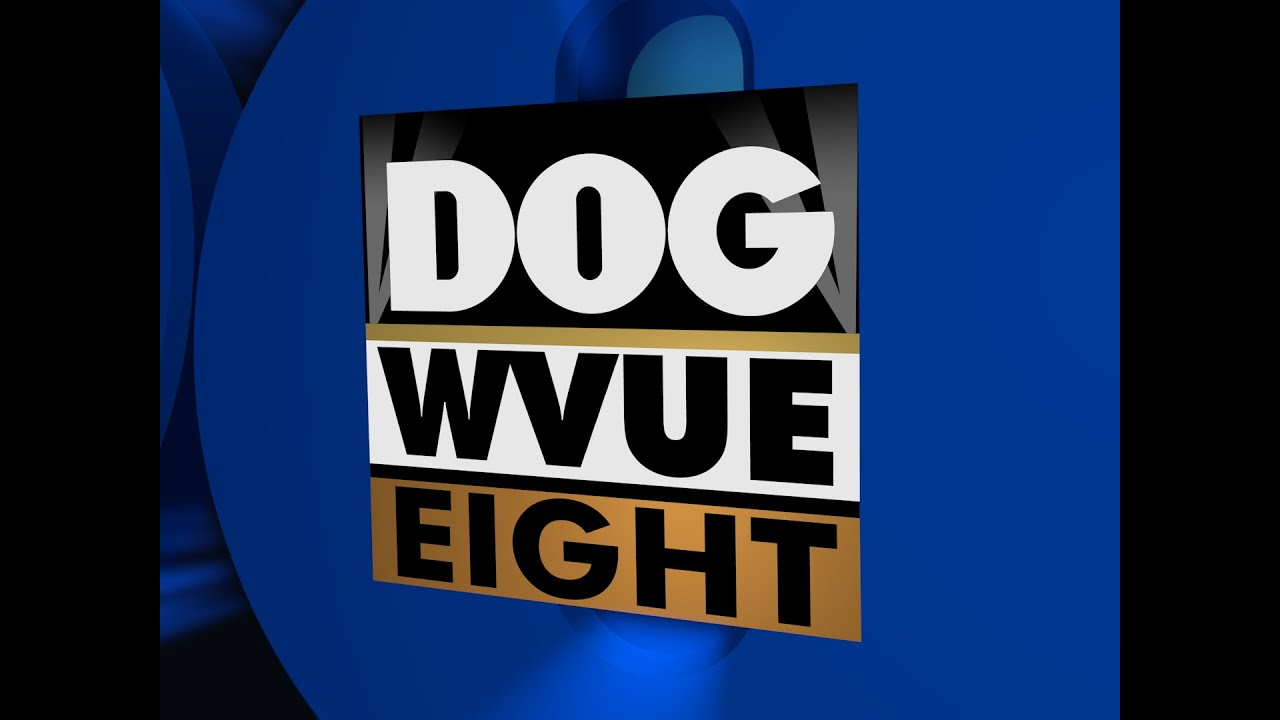 Dog WVUE Eight logo (1997-98) - YouTube