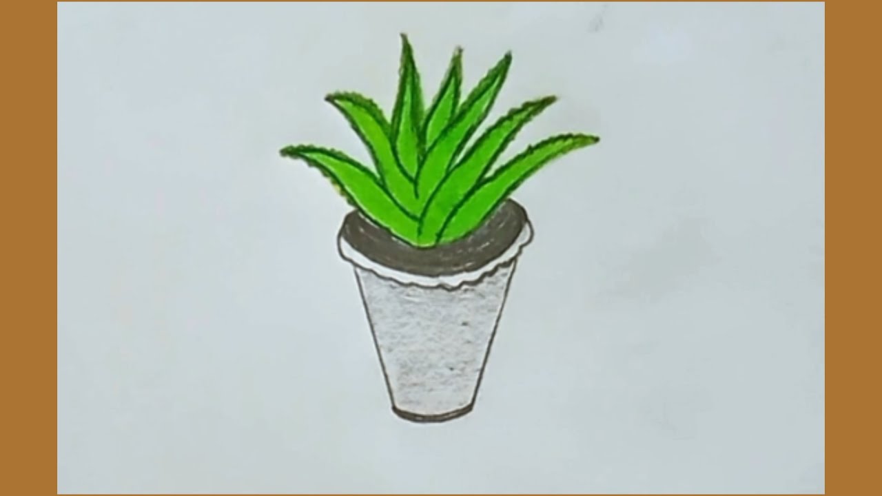 Easy way to draw a aloe vera plant 🌸 How to draw aloe vera plant 🌸Plant ...