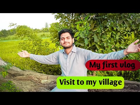 My first vlog. Village velog - YouTube