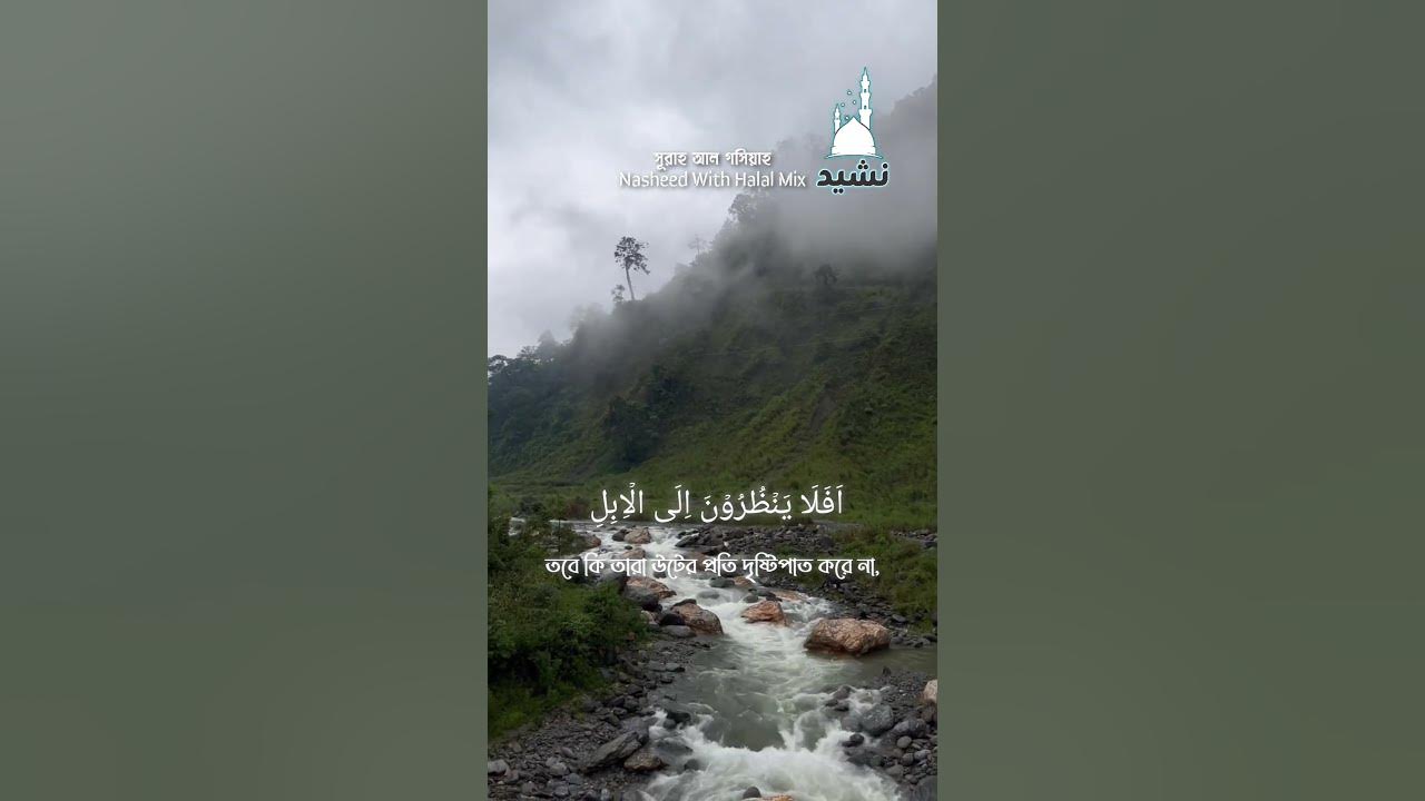 Surah Al Ghashiyah by Abdul Rahman Mossad - YouTube