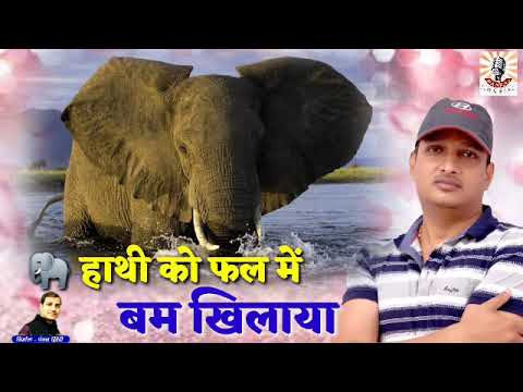 Diwakar Dwivedi Hits || हाथी को बम खिलाया || Hathi ko Fal me khilaya ...