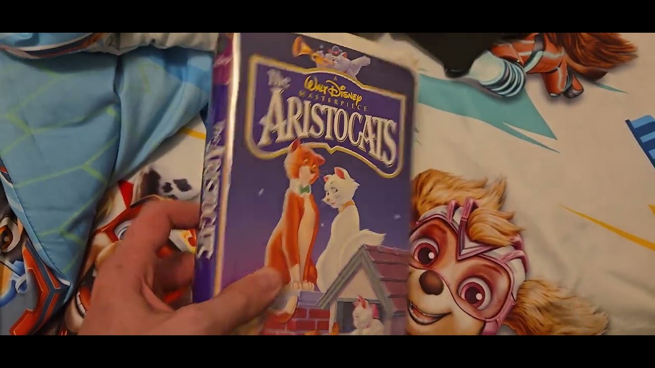 my vhs update for August 28th 2024 - YouTube