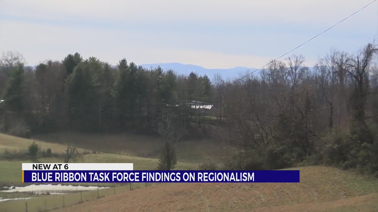 Blue Ribbon Task Force releases regionalism reports - YouTube