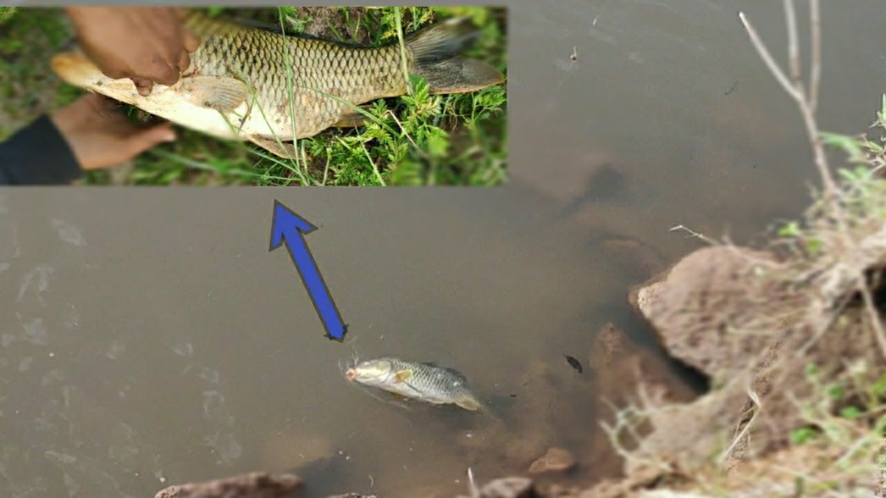 Fishing in ïongstang river,Ialong Jowai | Meghalaya | India. its really ...