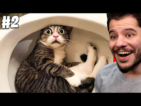 SIKIYORSA GÜLME #2 *hayvan videoları*