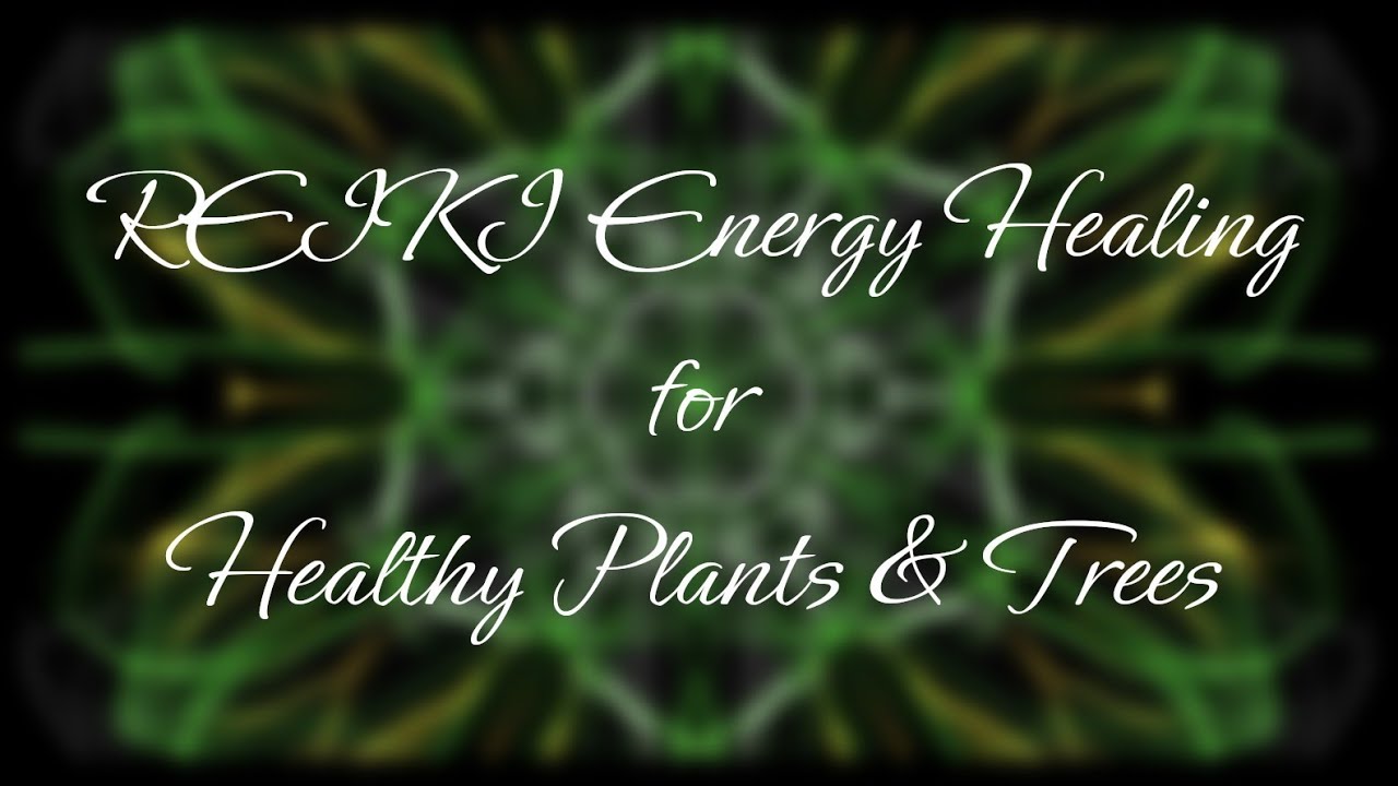 Reiki for Healthy Plants & Trees | Timeless Energy Healing - YouTube