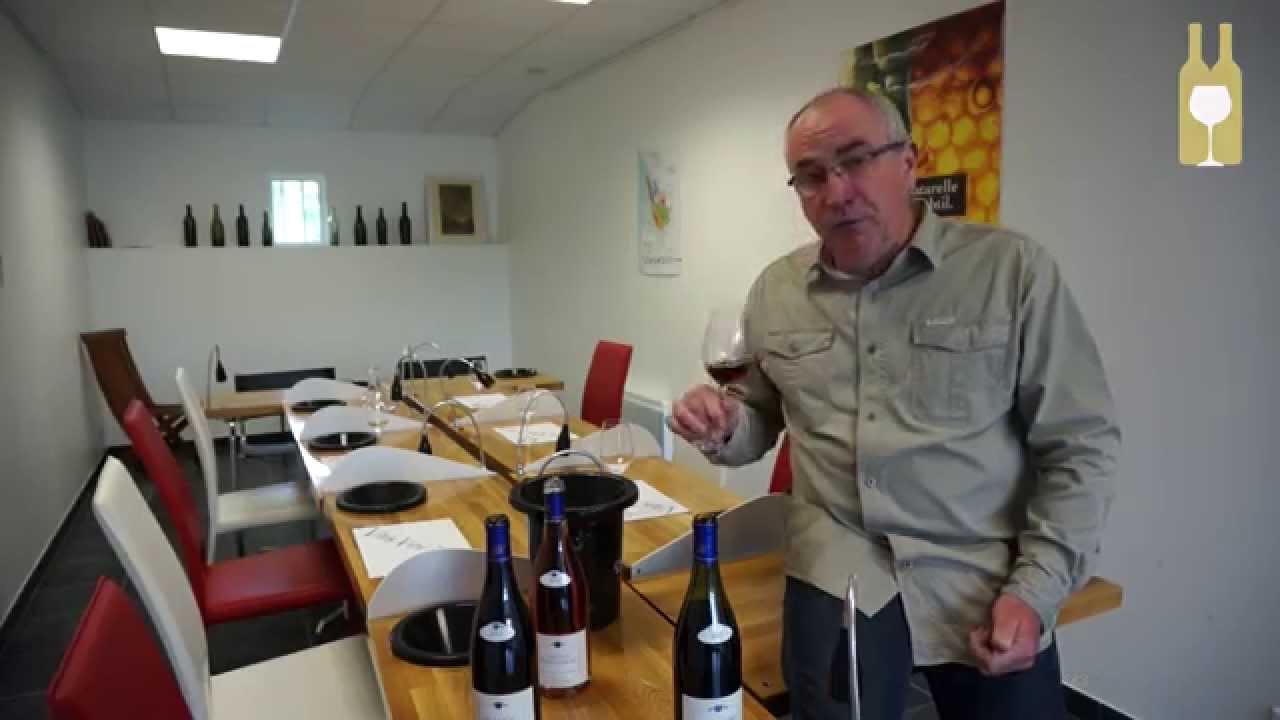Bourgogne Cote d'Auxerre Rouge - Domaine Verret - Buzzyourwine - YouTube
