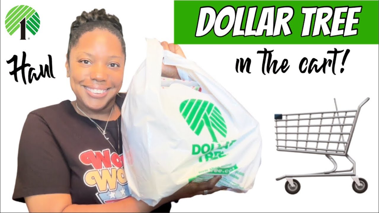 DOLLAR TREE HAUL 2023 | WHATS NEW AT DOLLAR TREE | DOLLAR TREE - YouTube