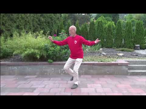 108 moves Moy TaiChi set - Move #101  Ride Tiger; #102 Turn & Sweep Lotus; #103 Shoot Tiger with Bow