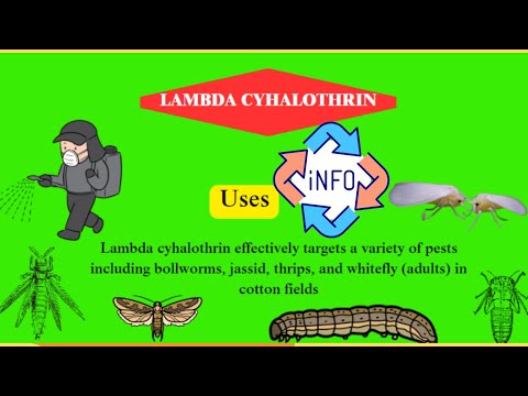 What Insects Does Lamda Cyhalothrin Kill