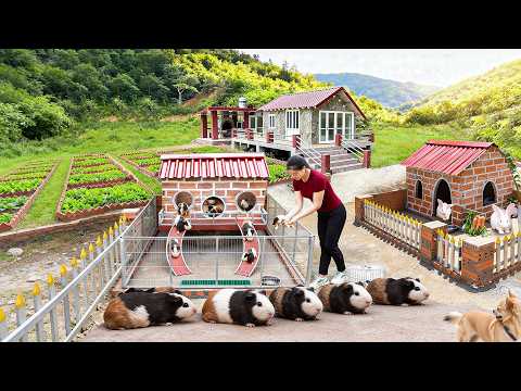DIY Building Creative House with Red Bricks and Concrete for Raising Guinea Pigs | Full Build