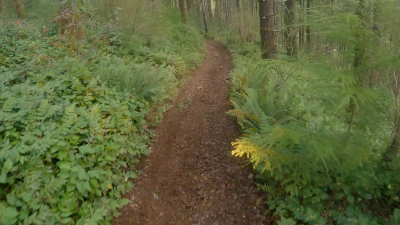 Rock Candy Mountain trail riding on the TW200. - YouTube
