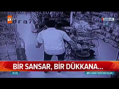 Sansar Çorumda Bir İş Yerine Girdi Ortalığı Birbirine Kattı