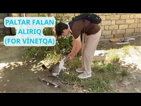 Yay vinetqasına paltar alırıq