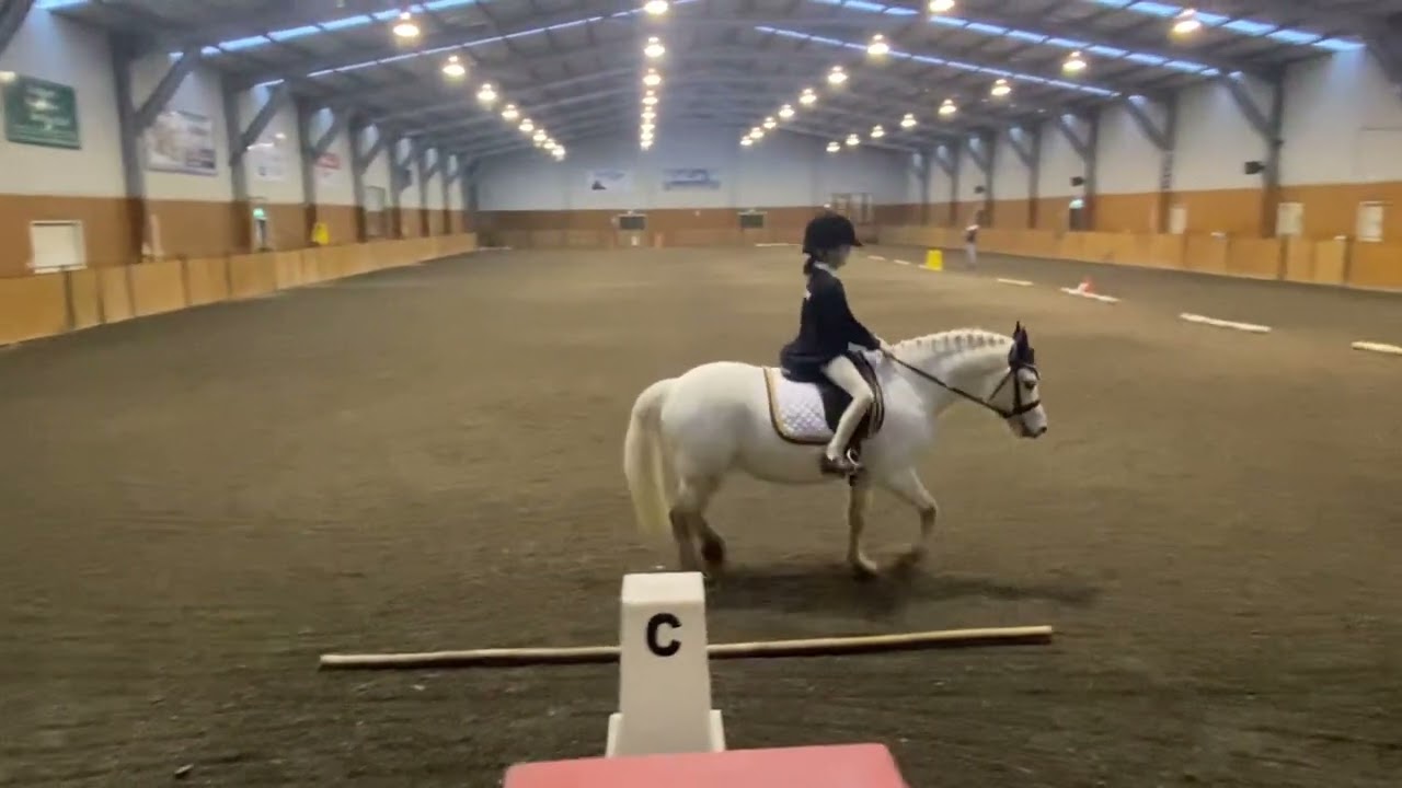 Hazel Cheetham & Brecon Bach Seal (1A) - YouTube