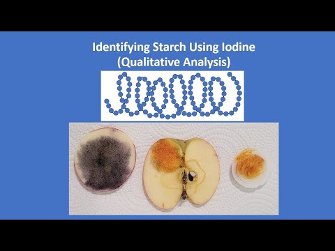 EXERCISE 5, Activity 3: Identifying Starch Using Iodine test ...