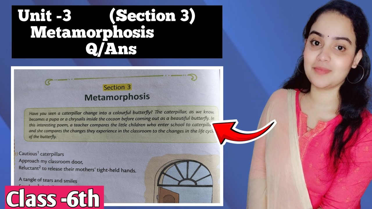 Class 6th Unit -3 (Section -3) Metamorphosis Question and answer ...