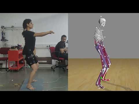 Class Project 1 | Biomechanical Movement Analysis Using OpenSim ...