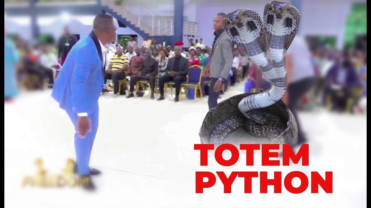 PYTHON EXPOSÉ ! DÉLIVRANCE II AUTO AUTO - YouTube