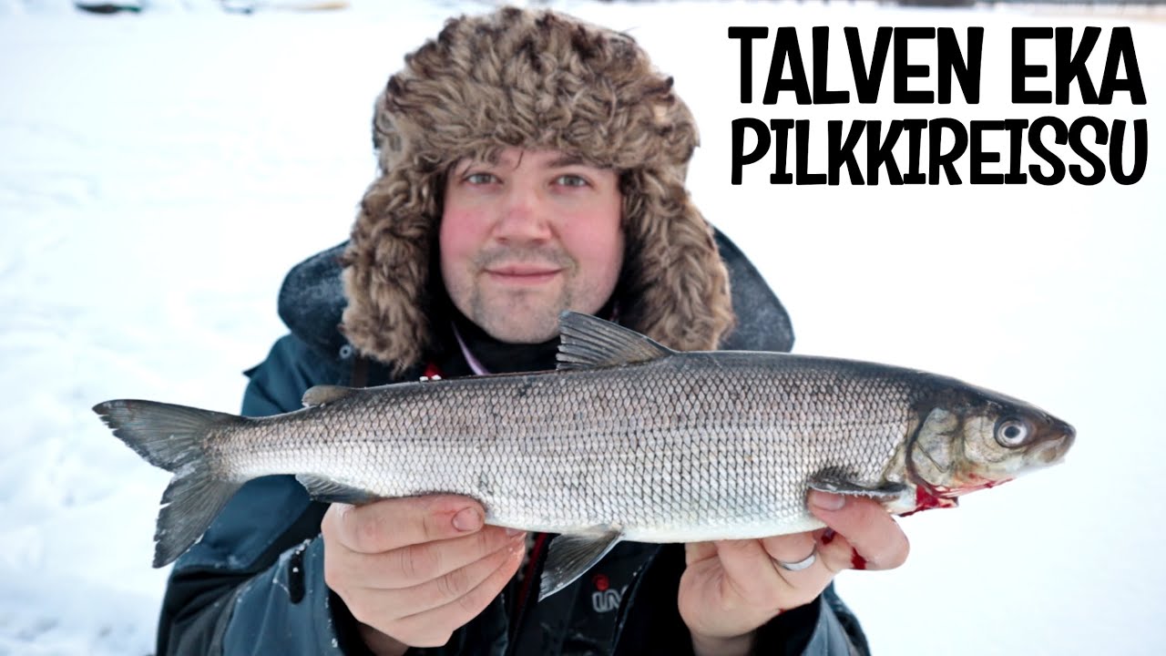 SIIKAA OULUJOELTA PILKILLÄ - TALVEN EKA PILKKIREISSU - YouTube
