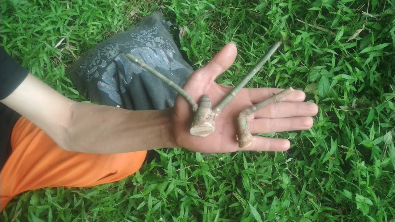 bambu unik sabdo lutut versi mini dan bambu songgo buwono - YouTube