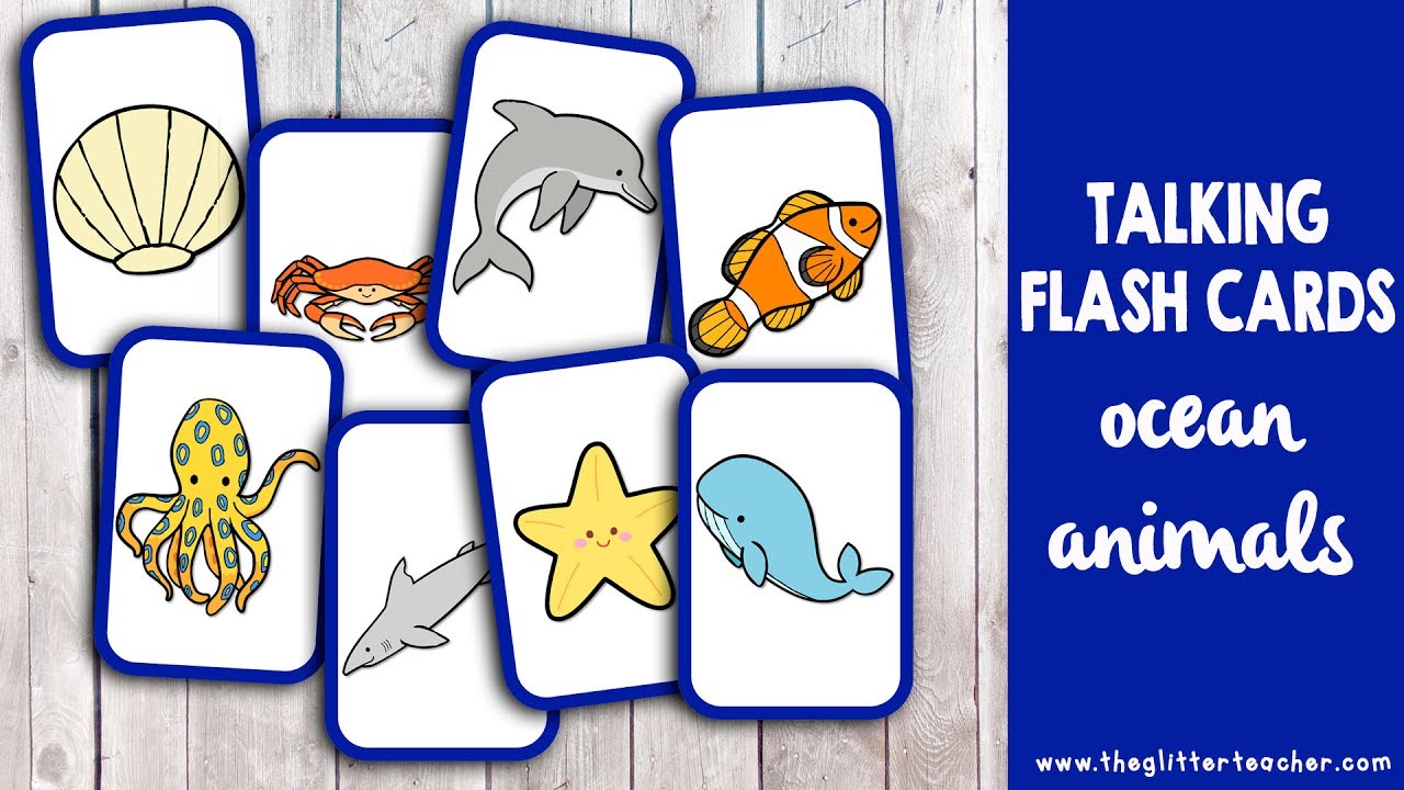 Ocean animals Talking Flash Cards - Tarjetas de vocabulario en inglés ...