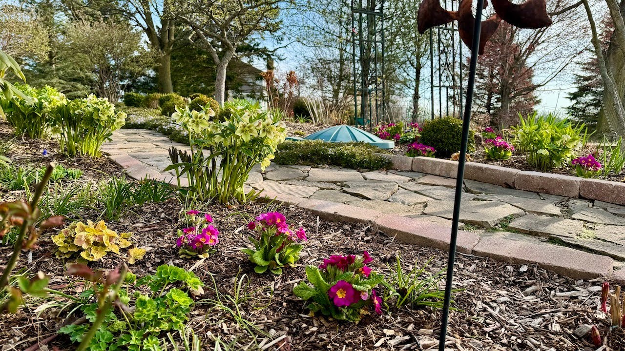 My Early Spring Garden Tour: April , 2024 - YouTube
