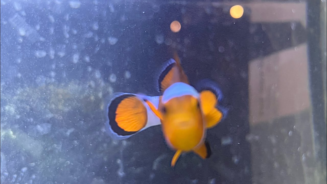 Quick basement update - YouTube