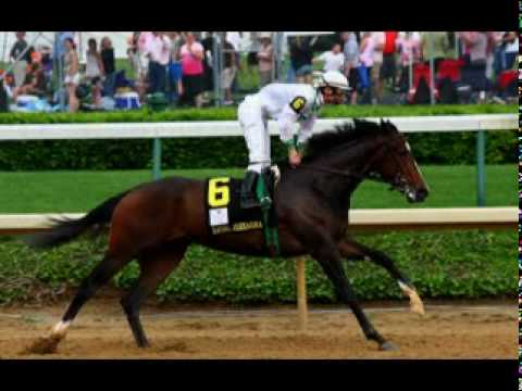 Dedication to Rachel Alexandra that amazing filly - YouTube