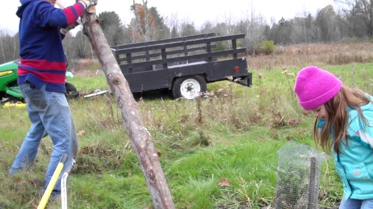 Blueberry netting part 1. - YouTube