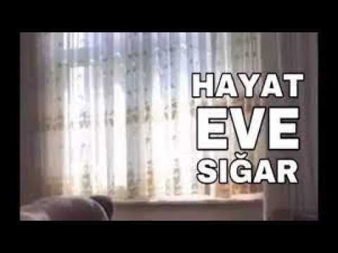 Serdar, Sen insan değilsin!!