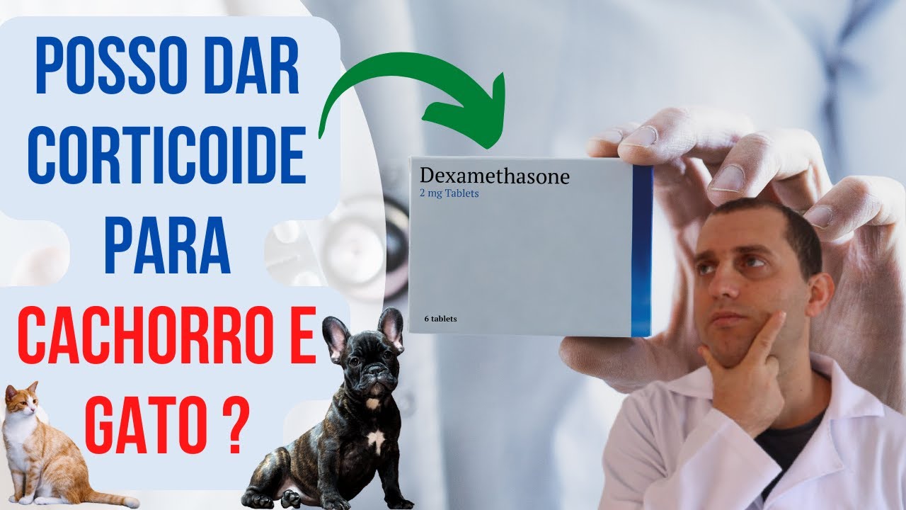 Posso dar corticoide para cachorro e gato ? - YouTube