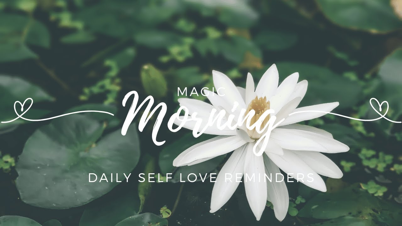 October 20 | good morning beautiful soul | daily self love reminders ...