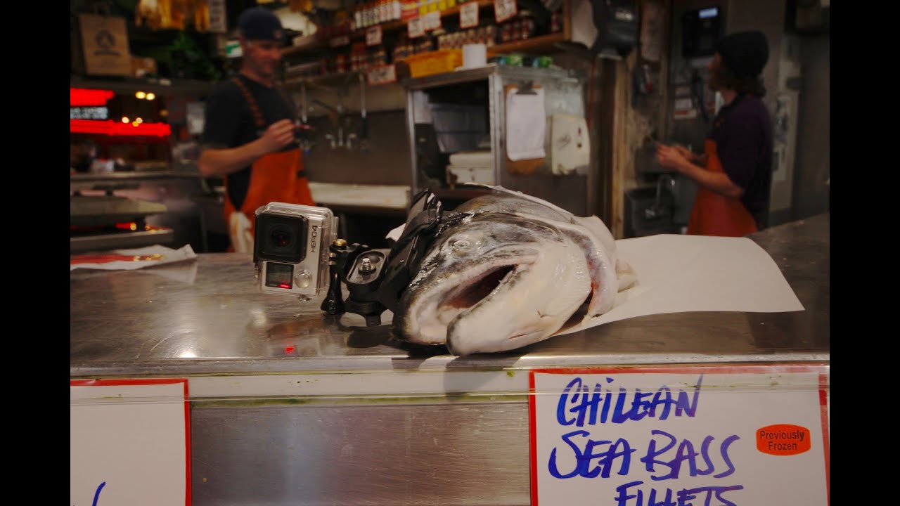Pike Place Fish Market flying fish cam - YouTube