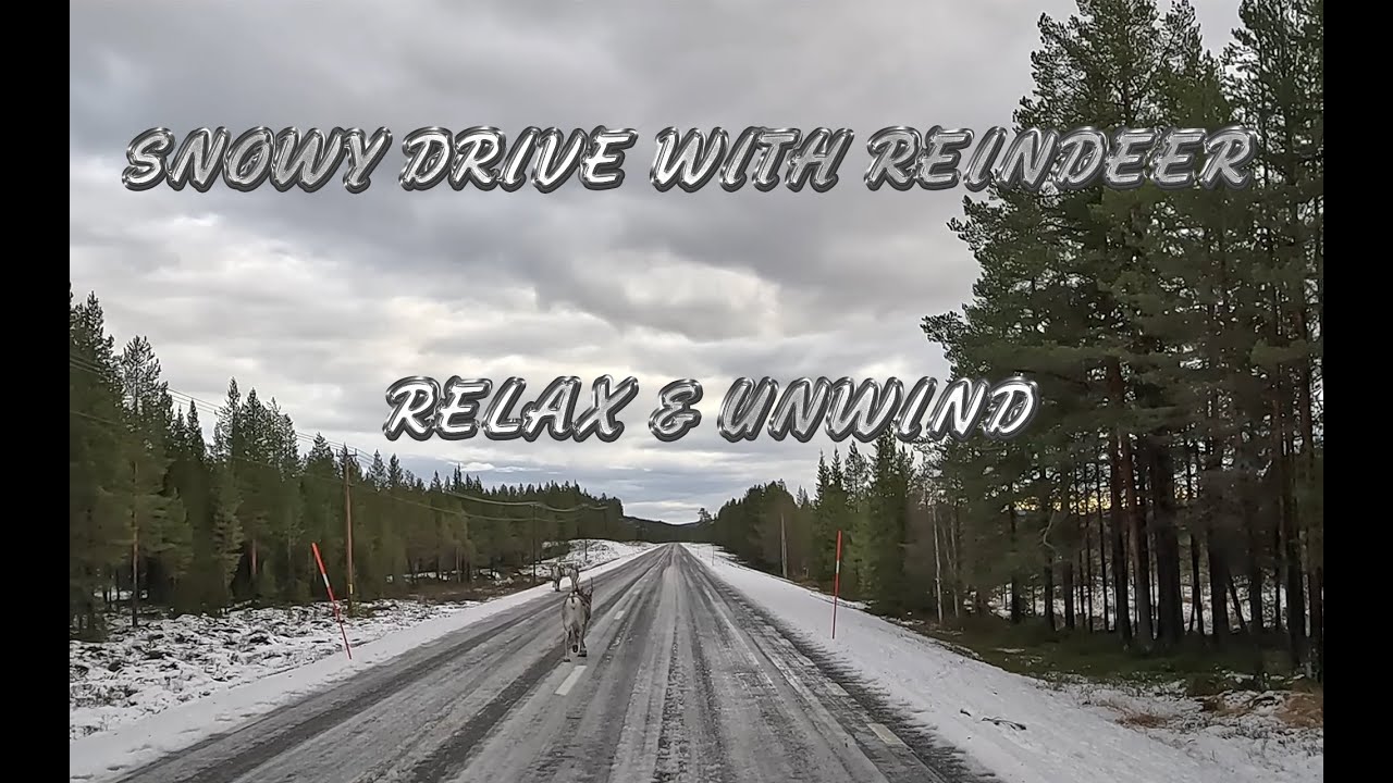 2.4 H Winter Drive with Reindeer Encounters ️ | Relaxing 4K Scenic ...