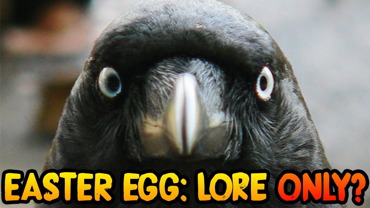 DER EISENDRACHE RAVEN EASTER EGG - BLACK OPS 3 ZOMBIES - YouTube