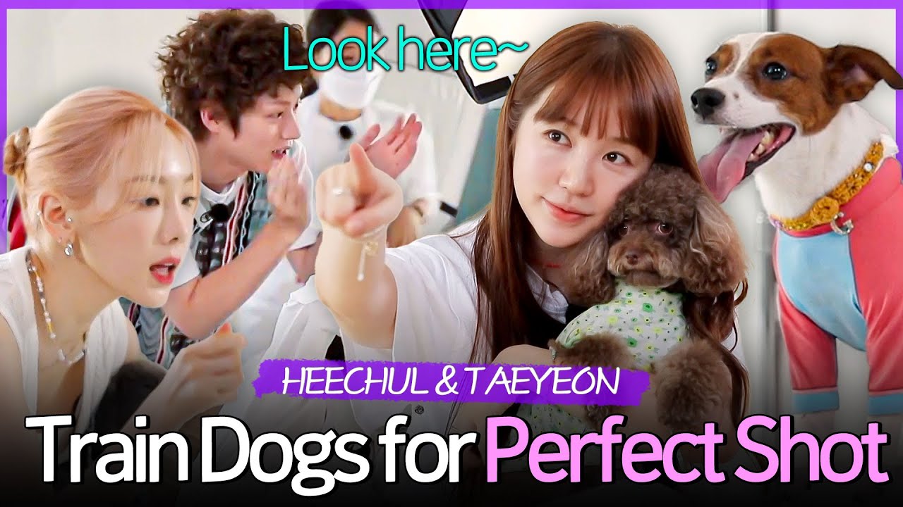 HEECHUL & TAEYEON TEACH Dogs How to POSE Like SJ & SNSD 🌟🌟🌟 - YouTube