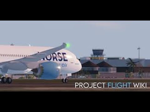 Cibao to Punta Cana Full flight Boeing 787 | Project Flight - YouTube