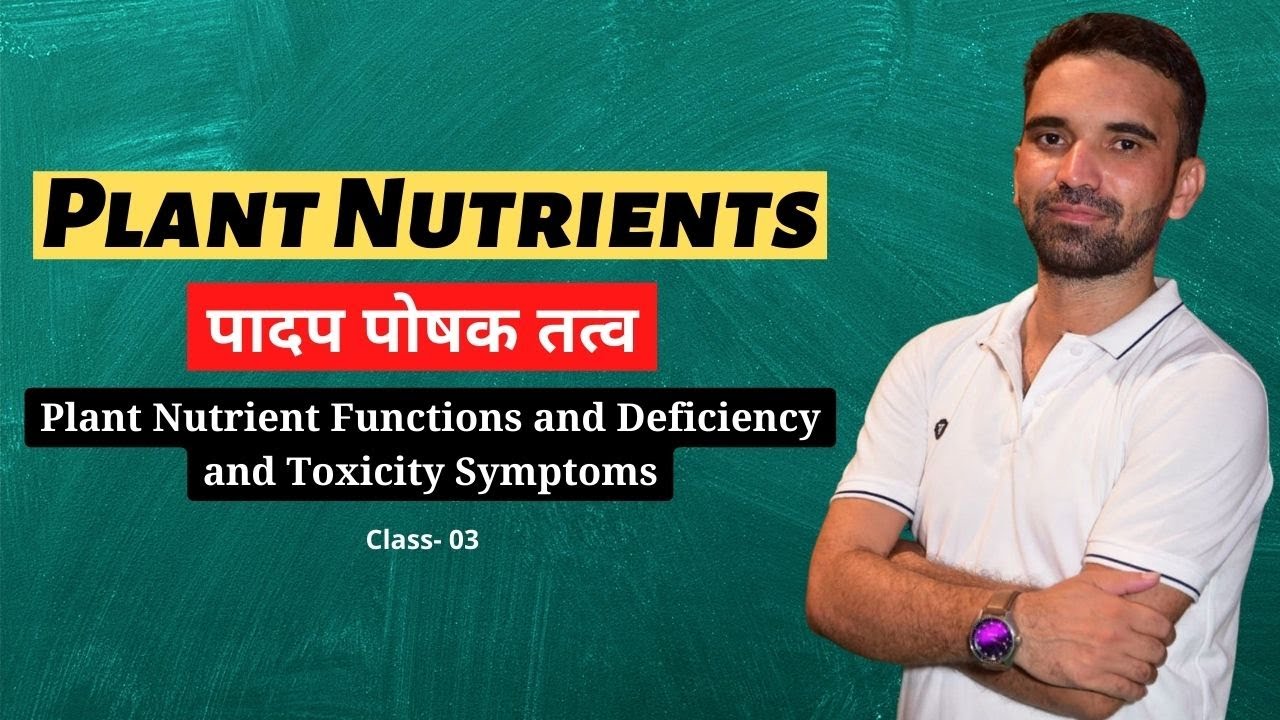 Plant Nutrients || Plant Nutrient Functions and Deficiency and Toxicity ...